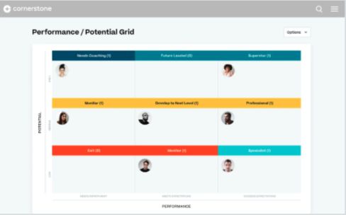 Cornerstone (Performance) - PeopleSpheres